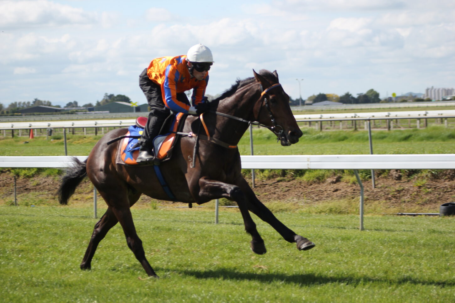 Te Akau Cambridge Trials' Report | News - Te Akau Racing