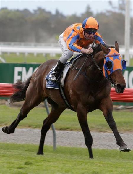 He's Rocking & Popping | News - Te Akau Racing