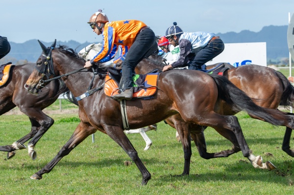 Te Akau Trials - North & South | News - Te Akau Racing